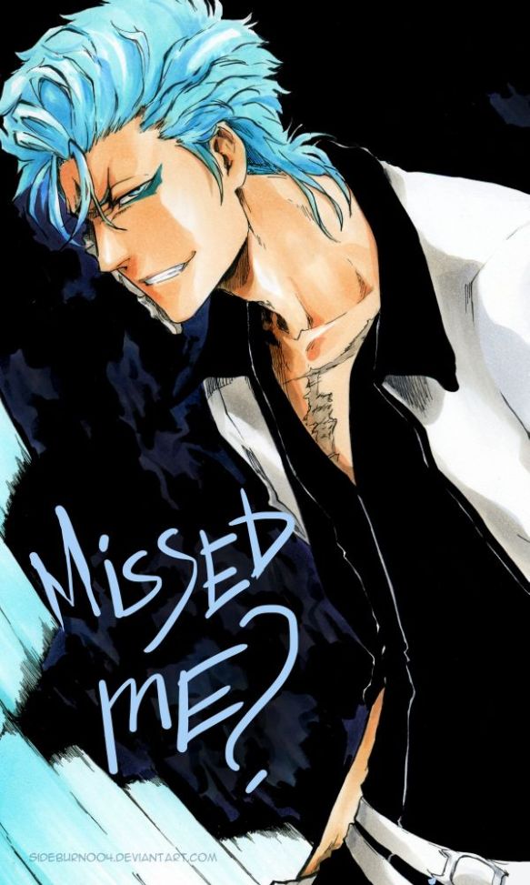 Bleach 624 Grimmjow Miss Me by sideburn004 | Daily Anime Art