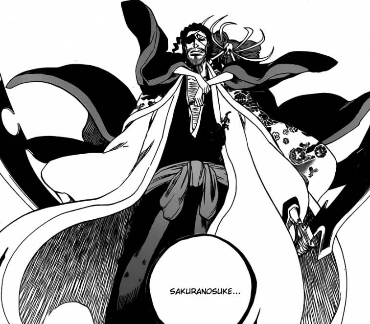 Shunsui and Sakuranosuke Ohana | Daily Anime Art